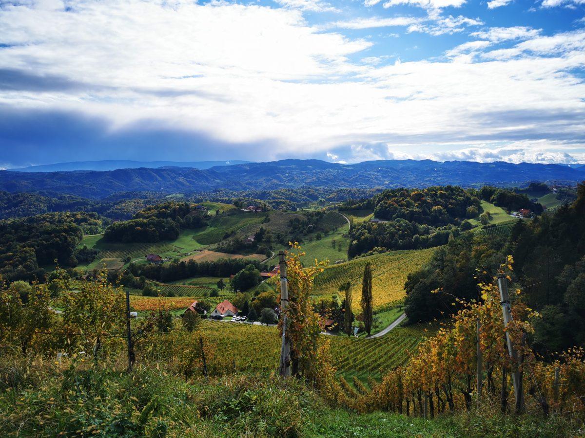 SVEČINSKE GORICE - Aktivna družina